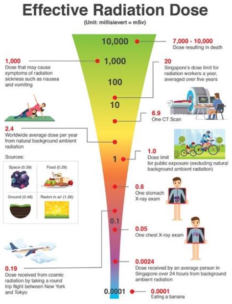 Radiation Exposure Safety